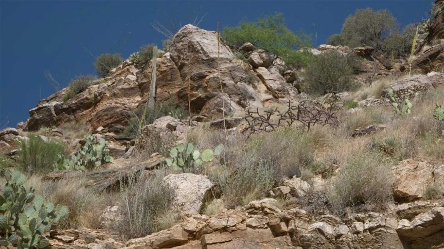 Architectural Control Committee – The Foothills Clusters Homeowners ...